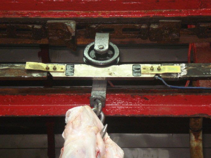 Calibración de una balanza de Riel Aereo – KYASERV Balanzas y Servicios